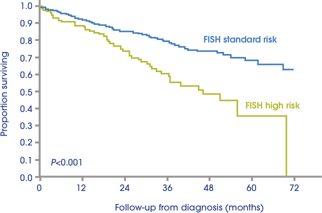 Multiple Myeloma Patient Factors & Impacts - Transform Myeloma